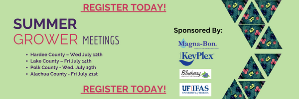 Florida Blueberry Growers Association